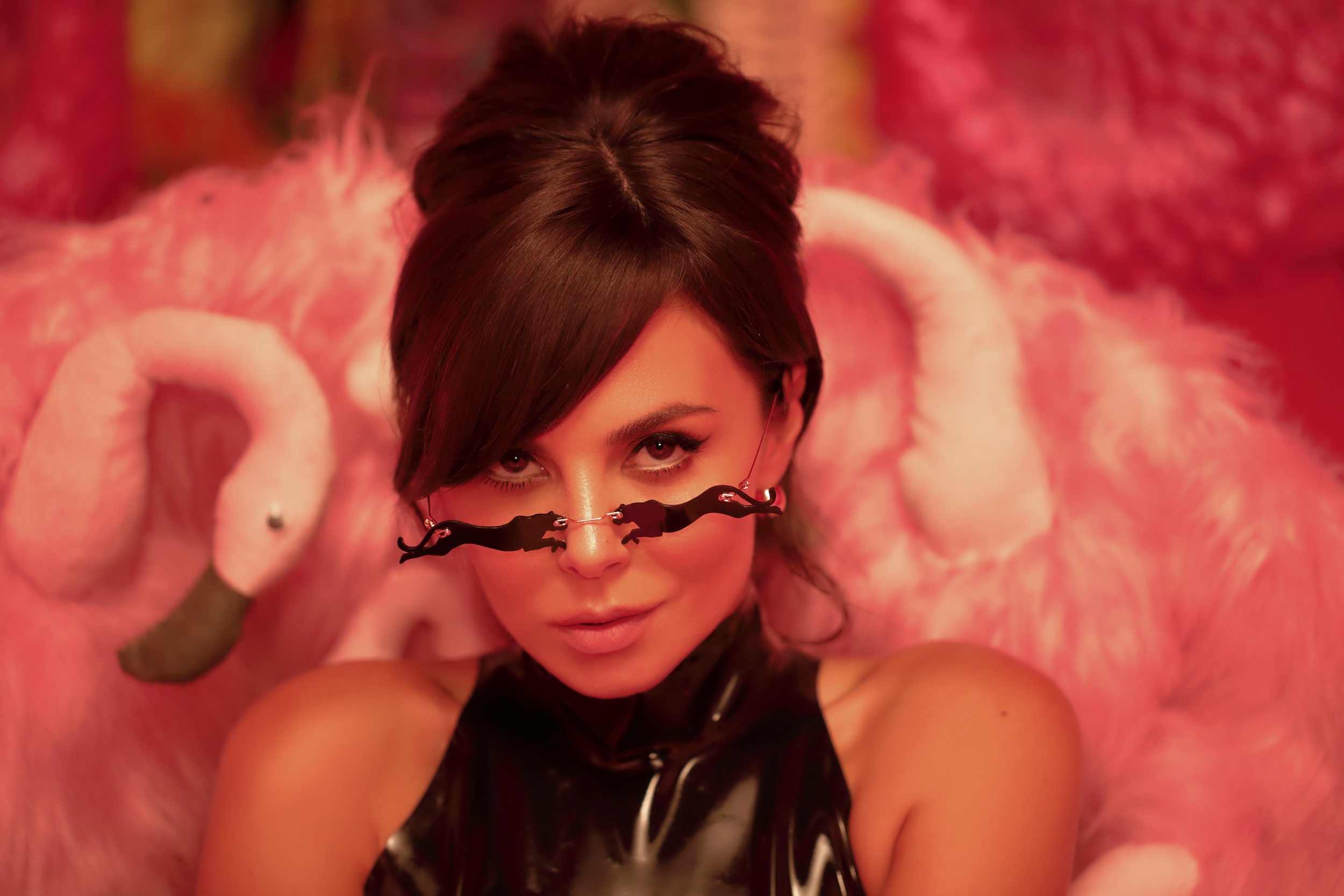 NK Lanza Nuevo Sencillo, "Elefante"