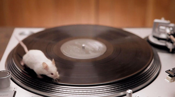 Rodents on Turntables